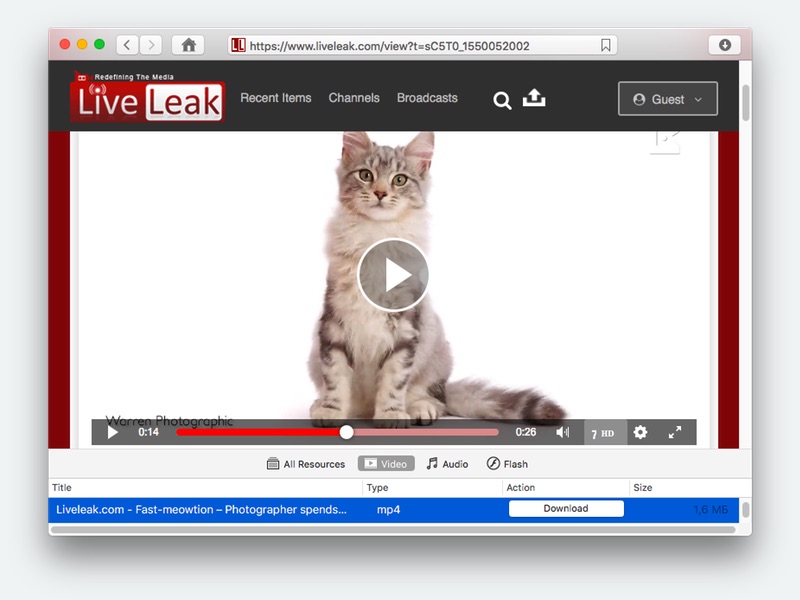 How to download LiveLeak videos on Mac